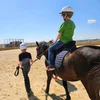 About 4 — Inspiration Stables