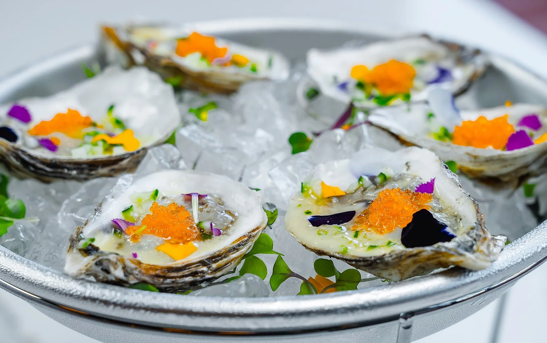 Americano Chicago - The Best New Restaurant in Lincoln Park