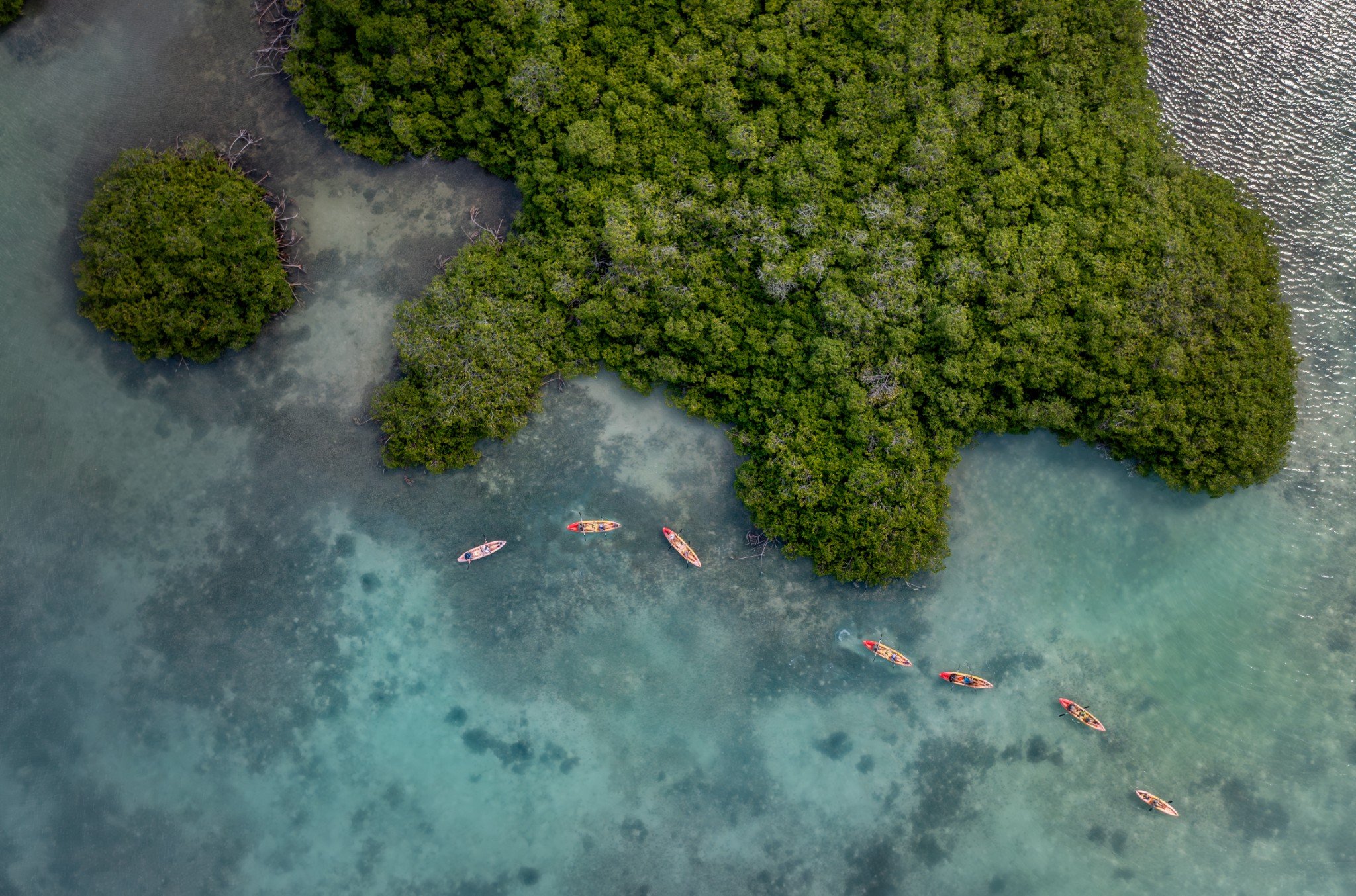 About Us | Mangrove Center Bonaire — Mangrove Center