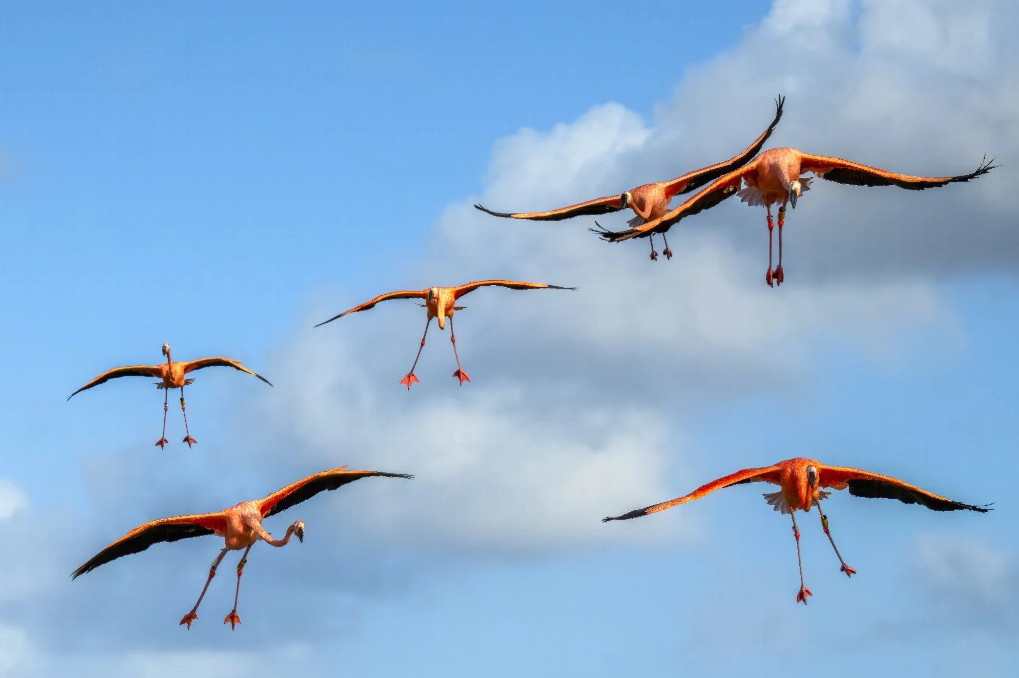 About Us | Mangrove Center Bonaire — Mangrove Center