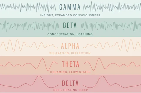 Delta, Theta, Alpha, Beta: What Brain Waves Mean and Why They Matter ...