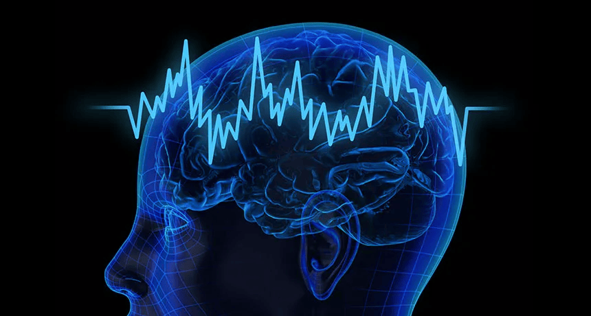 Delta, Theta, Alpha, Beta: What Brain Waves Mean and Why They Matter ...