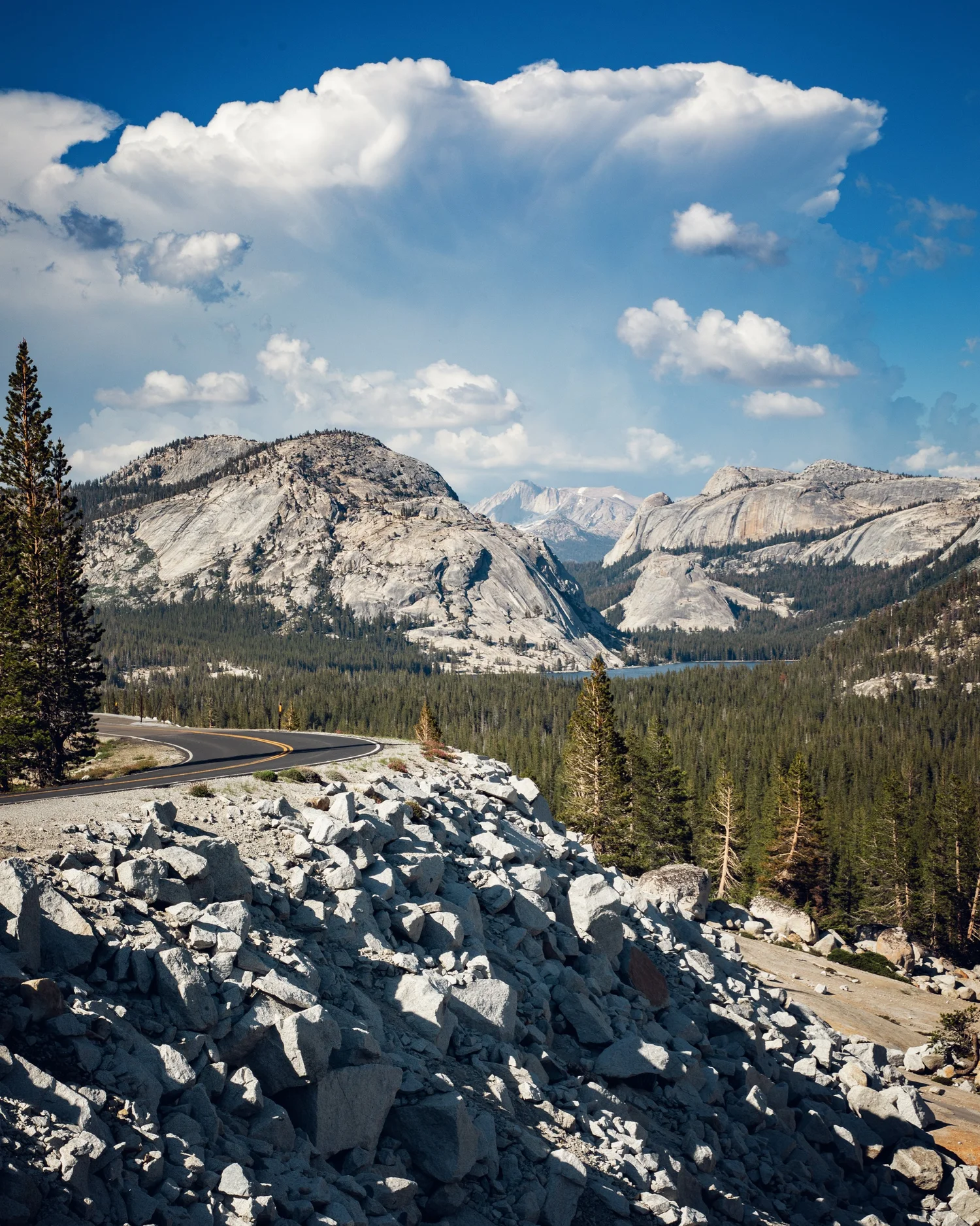 Tioga Pass Road Trip Guide - Yosemite National Park's Most Underrated ...