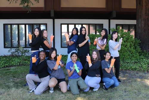 Programs — MISA Site