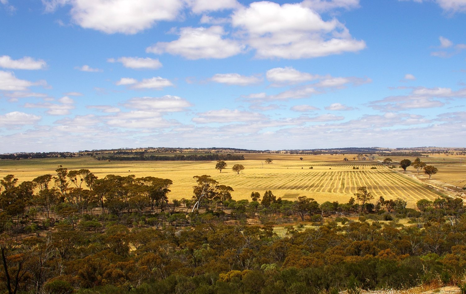 Regional NRM Plan Wheatbelt Western Australia — Wheatbelt NRM