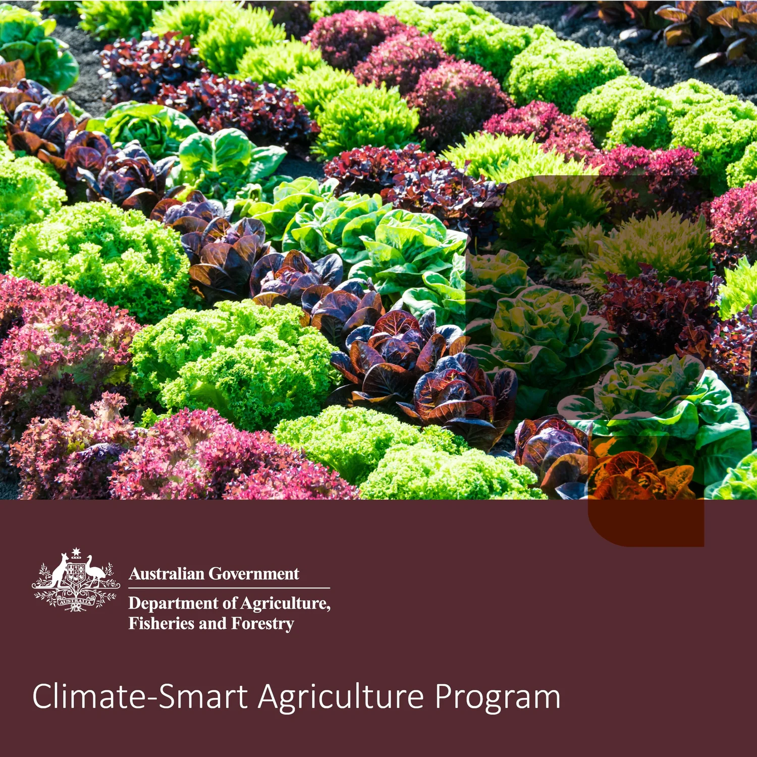 Climate smart agriculture program aims to drive agricultural resilience ...