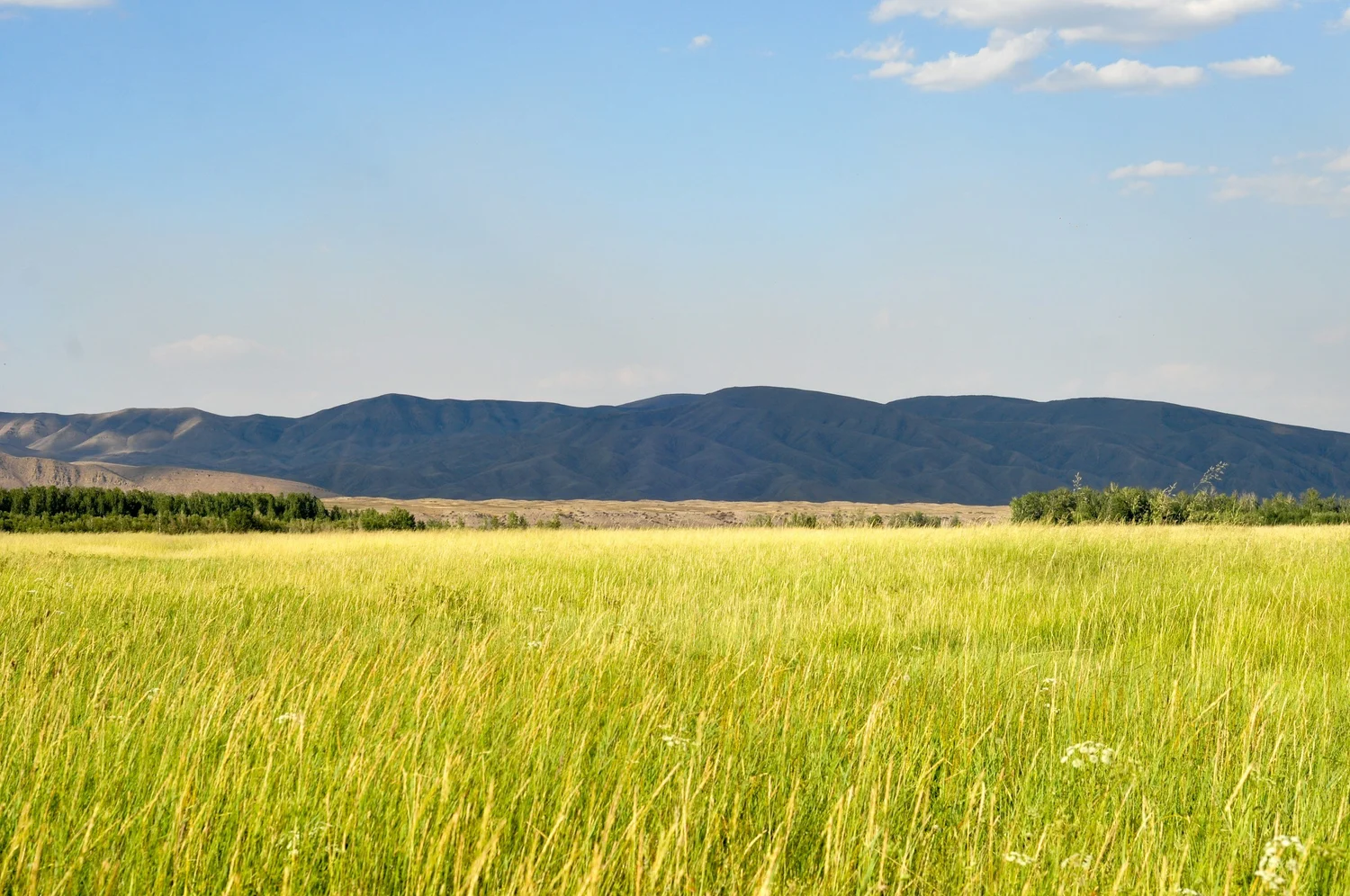 World Organization of Tuvans - Tannu Tuva