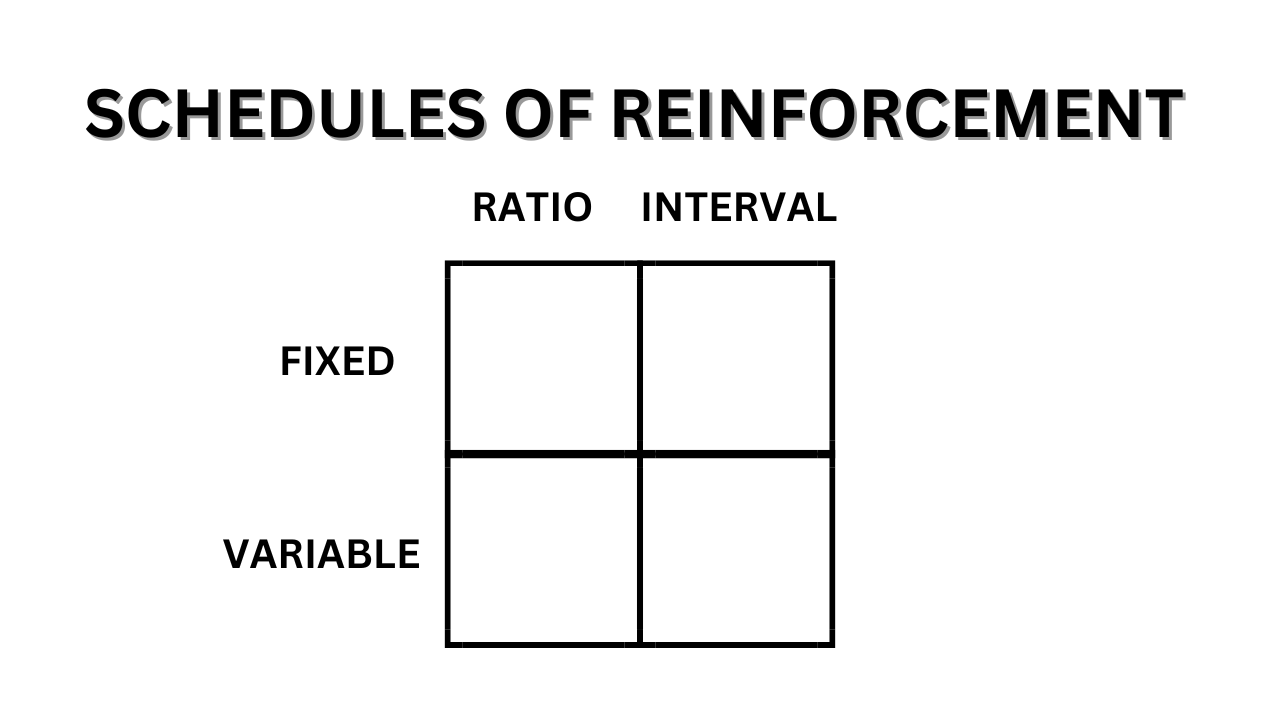 TABLA Schedules of Reinforcement — RBT Guia de Estudio