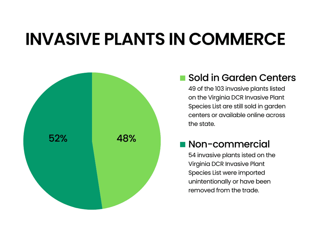 Virginia Invasive Plant List — Blue Ridge PRISM