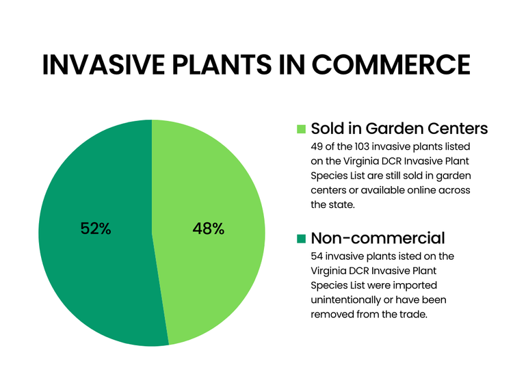 Virginia Invasive Plant List — Blue Ridge PRISM