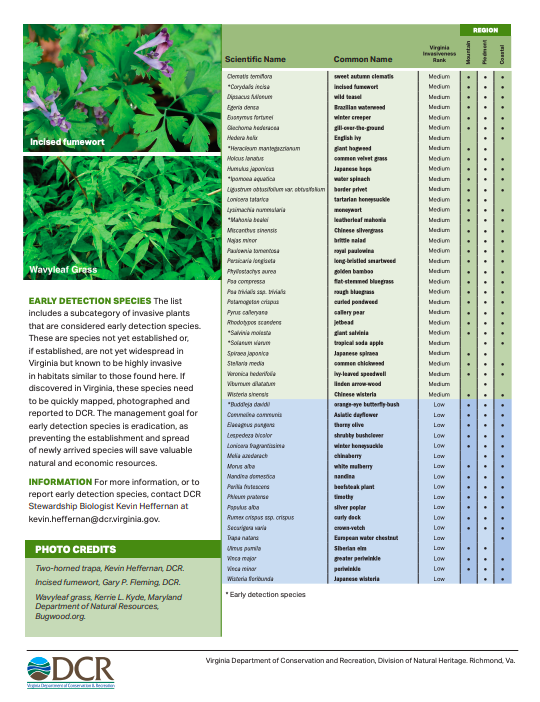 Virginia Invasive Plant List — Blue Ridge PRISM