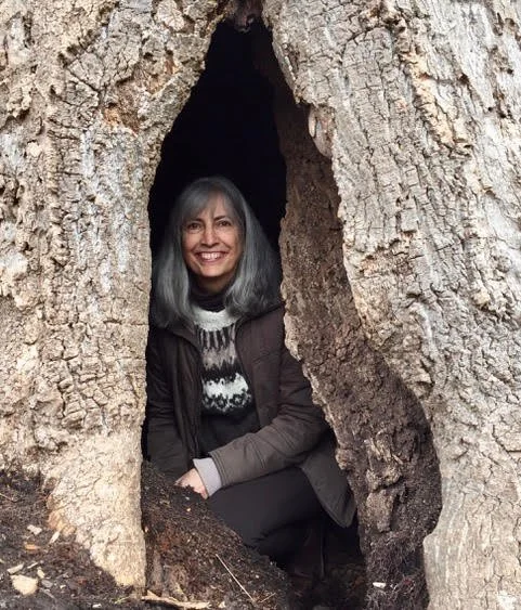 Chestertown Wellness Collective