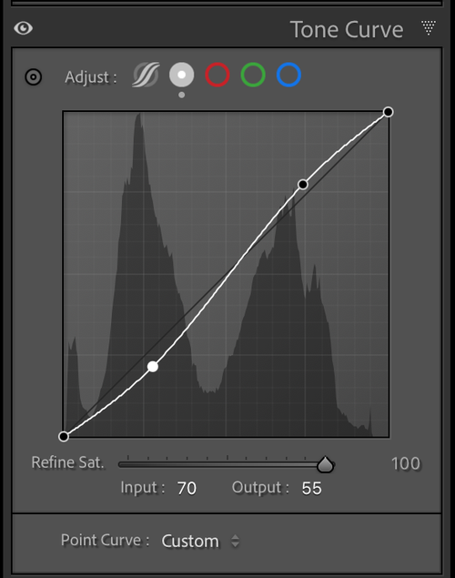 3 Ways to Use the Tone Curve in Lightroom — Nancy Smiley | Photography