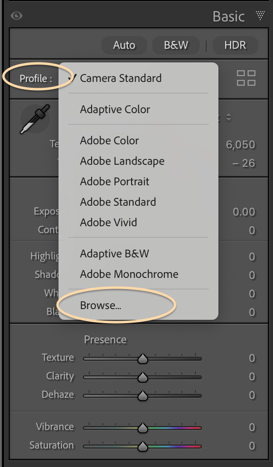 The Ultimate Guide to Getting Started in Lightroom Classic — Nancy ...