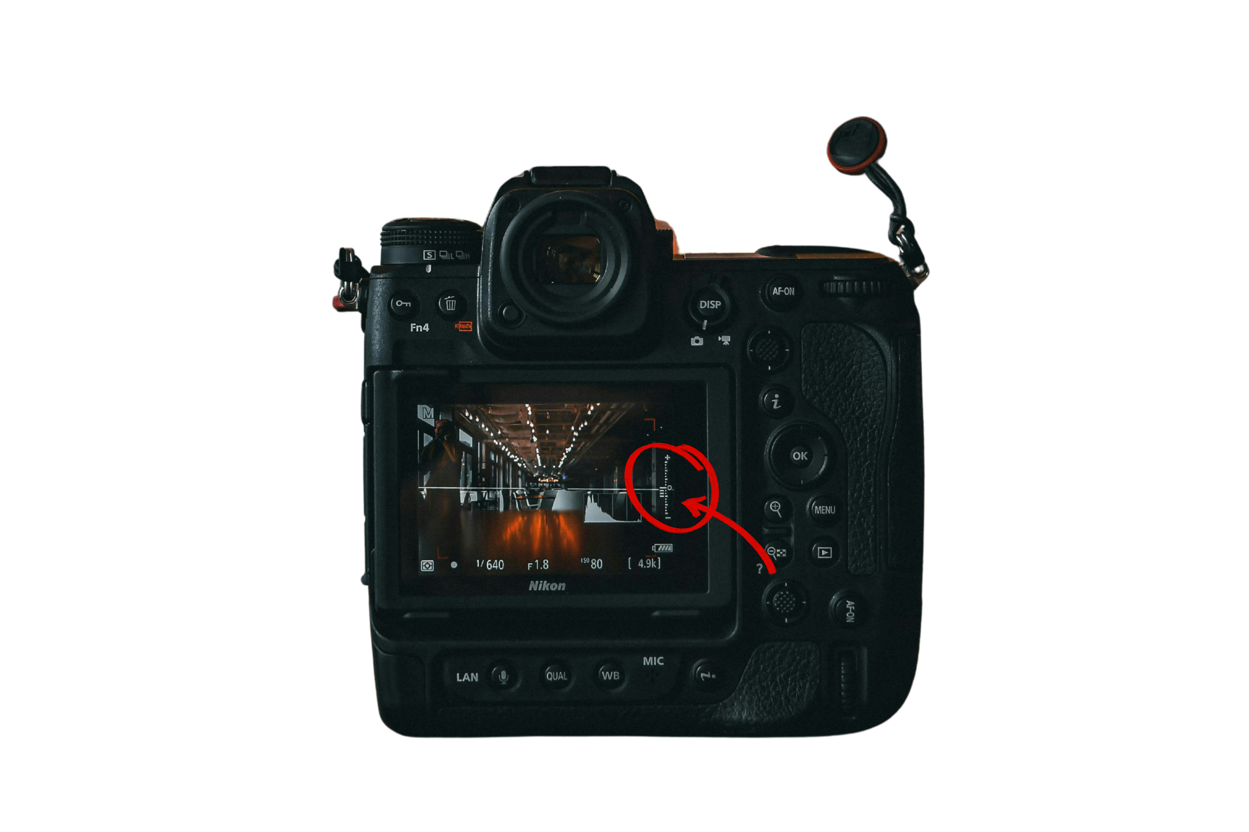Metering Modes 101: Get Perfect Exposure Every Time — Nancy Smiley ...
