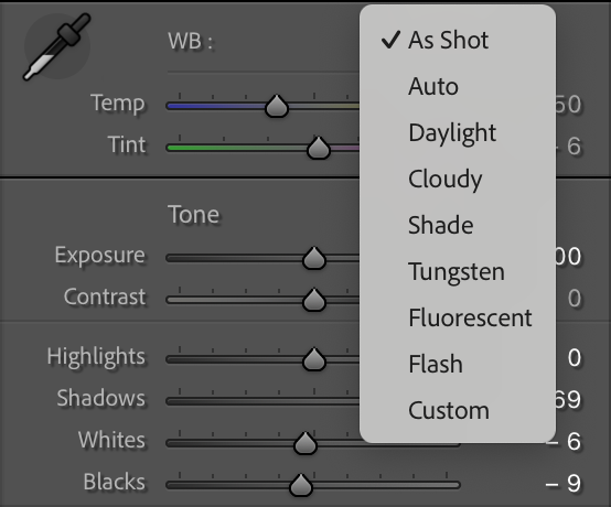The Simple 4-Step Method to Perfect White Balance in Lightroom — Nancy ...