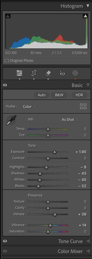 Making the Switch to RAW from JPEG — Nancy Smiley | Photography