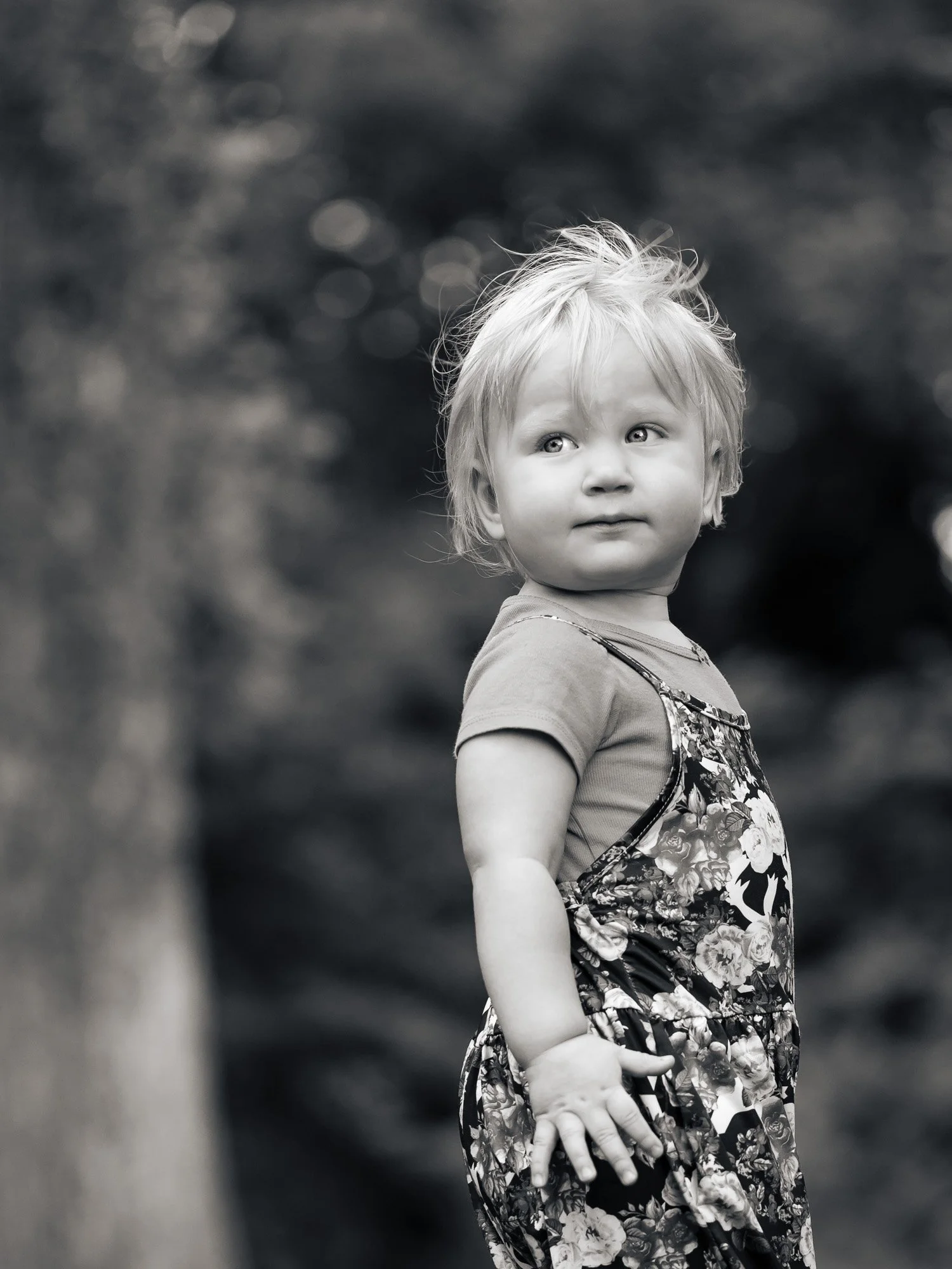 How to Get Those Dreamy, Blurry Backgrounds in Your Photos — Nancy ...