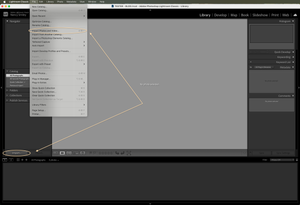 The Ultimate Guide to Getting Started in Lightroom Classic — Nancy ...