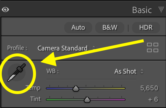 6 Ways to Set White Balance: A Guide to Perfect In-Camera Color — Nancy ...