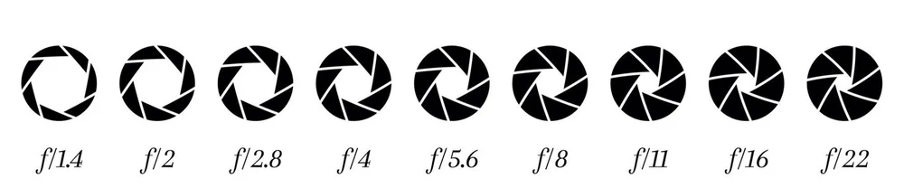 Aperture and Depth of Field (A Beginner's Guide!) — Nancy Smiley ...