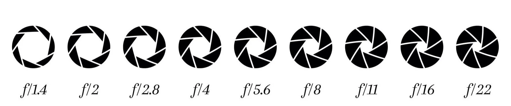 Aperture and Depth of Field (A Beginner's Guide!) — Nancy Smiley ...