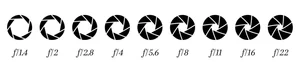 Aperture and Depth of Field (A Beginner's Guide!) — Nancy Smiley ...