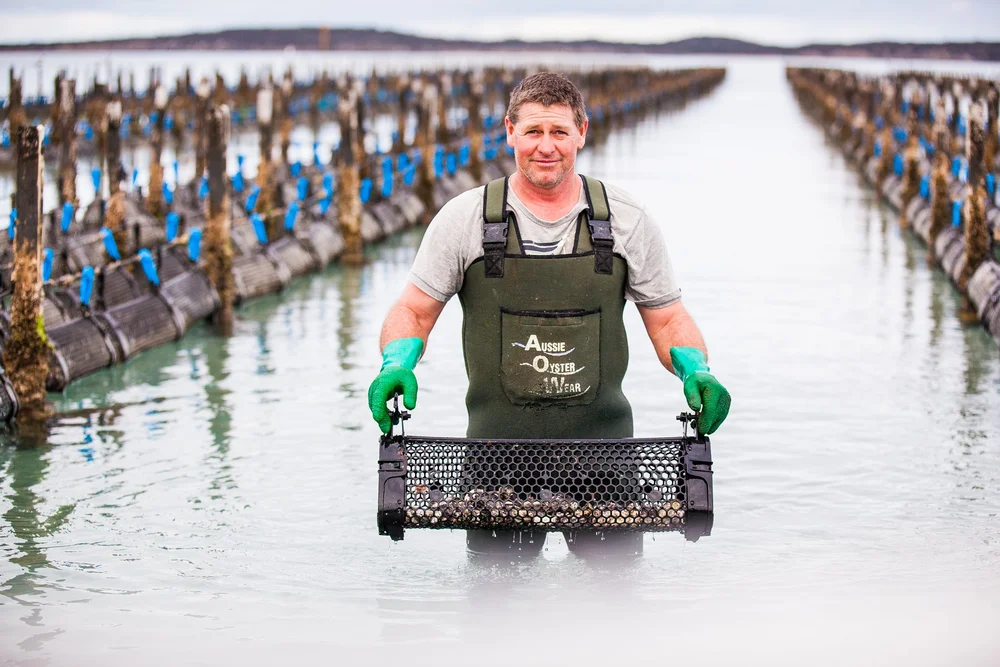 The Farmer-Farm Direct Oyster Co.