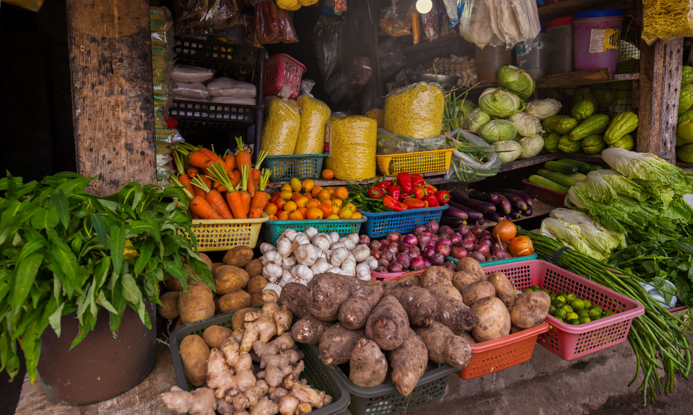 Exploring Indigenous Foods for Healing: PAN South Africa’s Gqeberha ...
