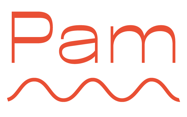 21 June Pam Launch at Braeval Street Studios — Pam Common Art