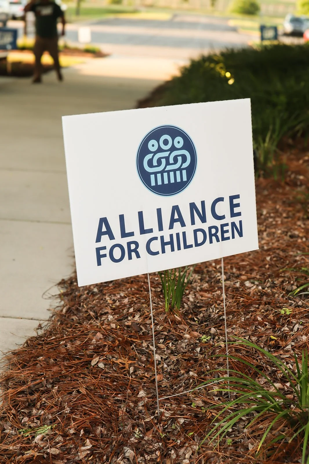 The Summit 2025 — Alliance for Children Georgia