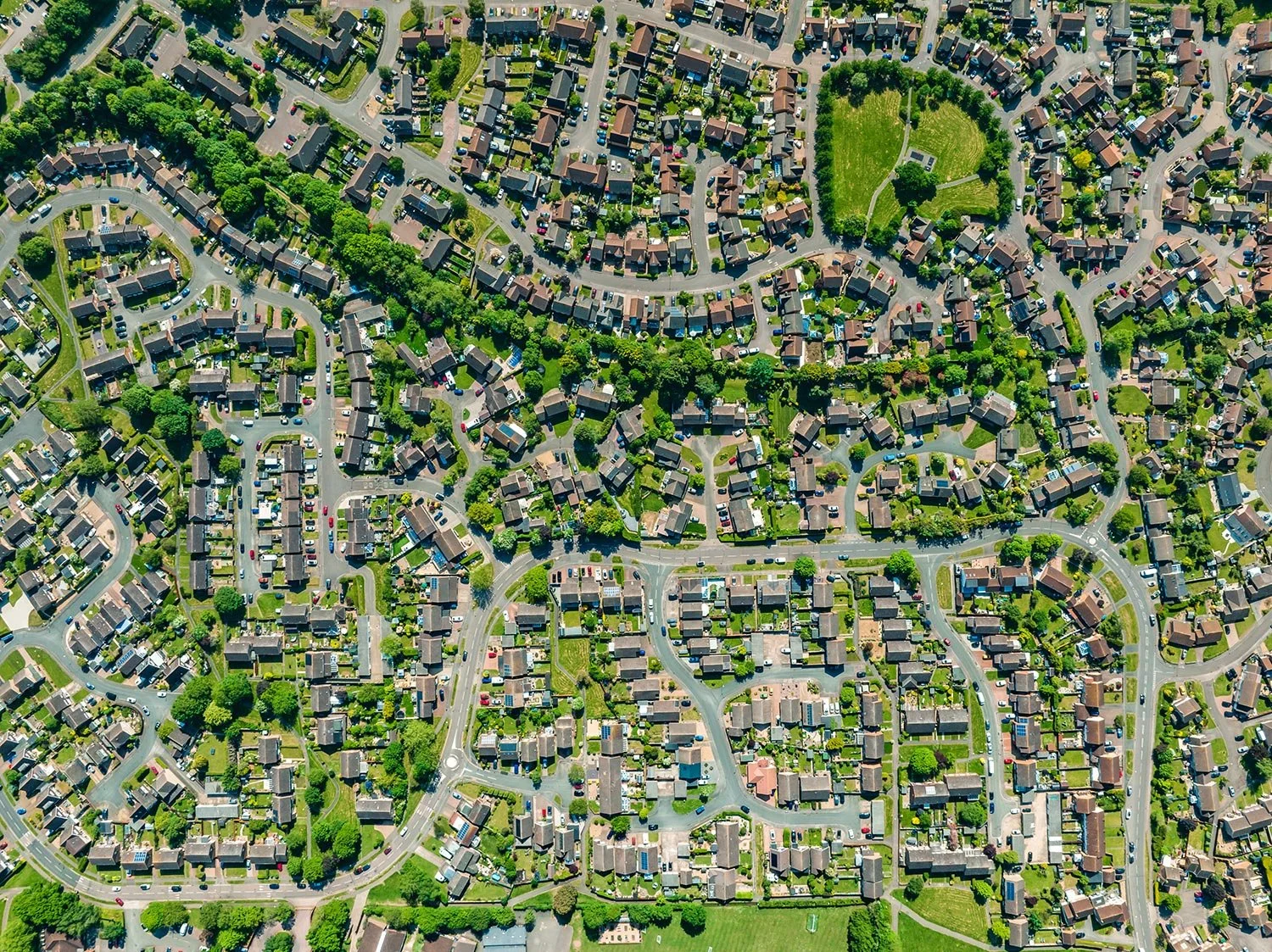 Sorensen Tree Consultancy - Specialising in BS5837 Tree Surveys ...