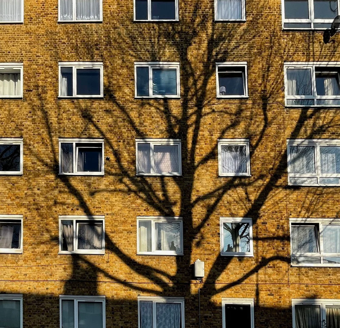 Sorensen Tree Consultancy - Specialising in BS5837 Tree Surveys ...