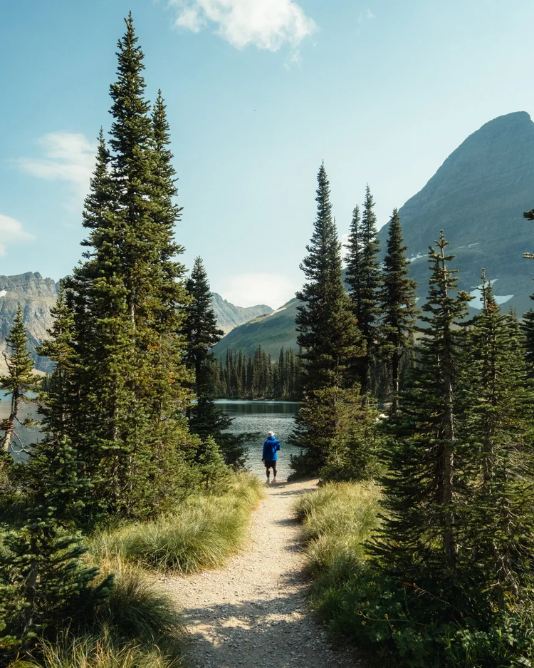 Camp Yoshi | Eco-Adventures, Wellness, and Timeless Escapes for Busy ...
