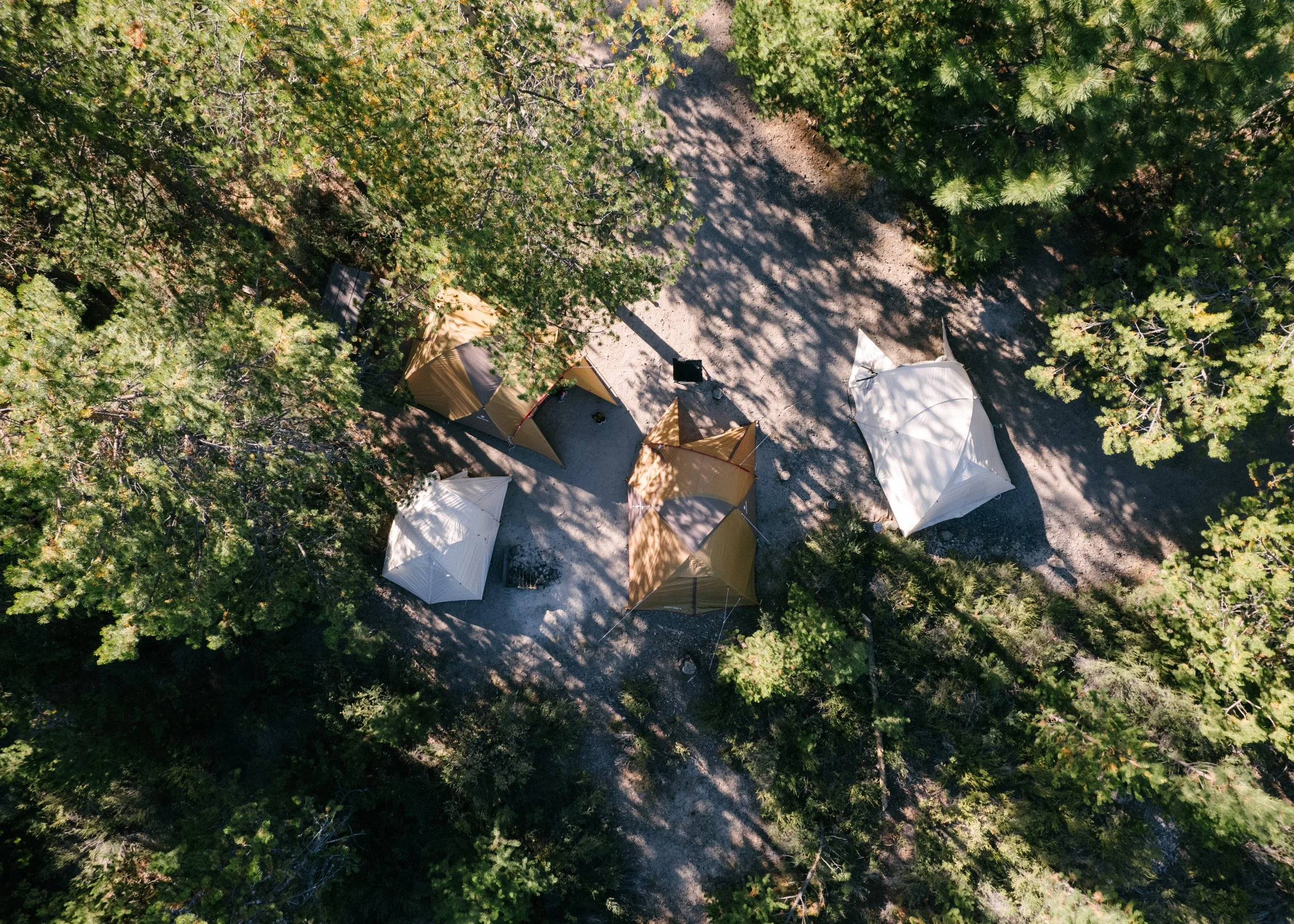 Camp Yoshi | Eco-Adventures, Wellness, and Timeless Escapes for Busy ...