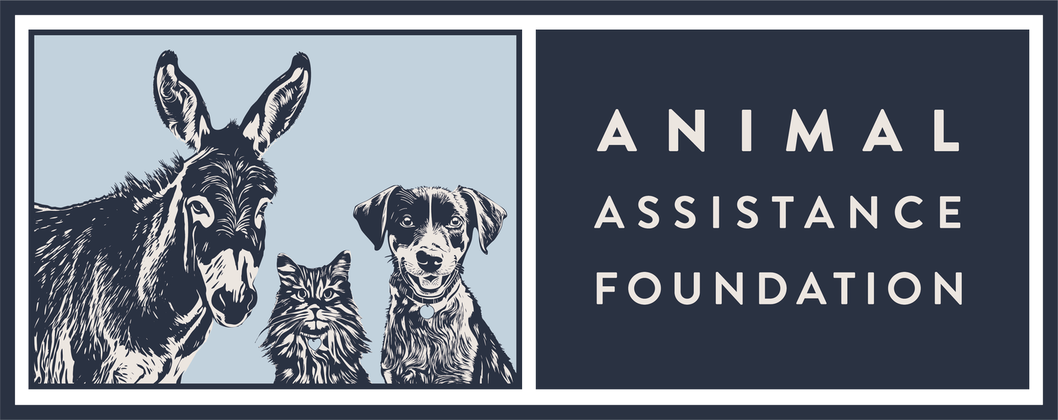 Animal Assistance Foundation | A Colorado Foundation