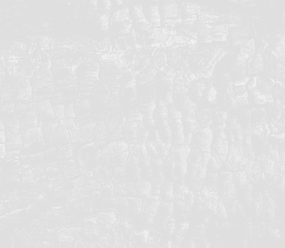 El Che — Steakhouse & Bar