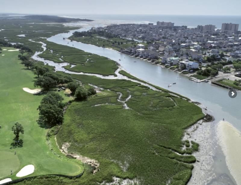 The Intracoastal Waterway — Anne Hitch | The Edgewater Group