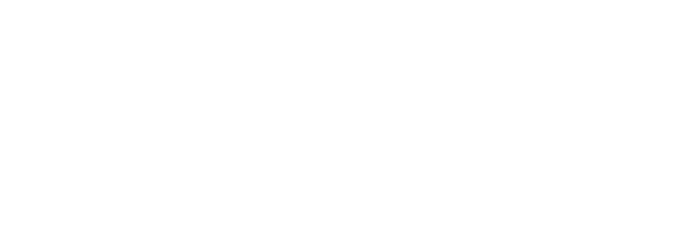 Team — Will Financial Group