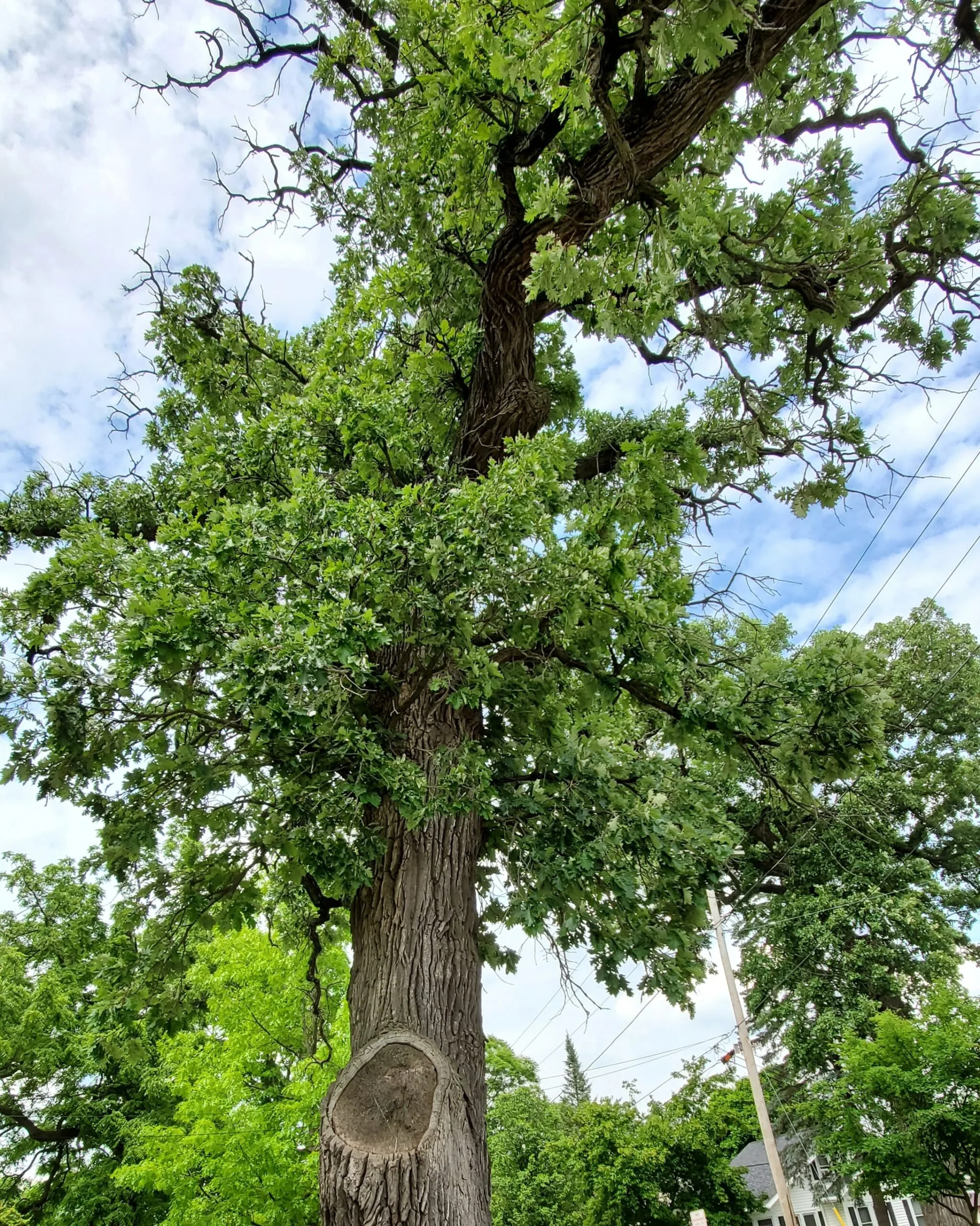 Heritage Day: Learn Whitewater, WI's History — Discover Whitewater