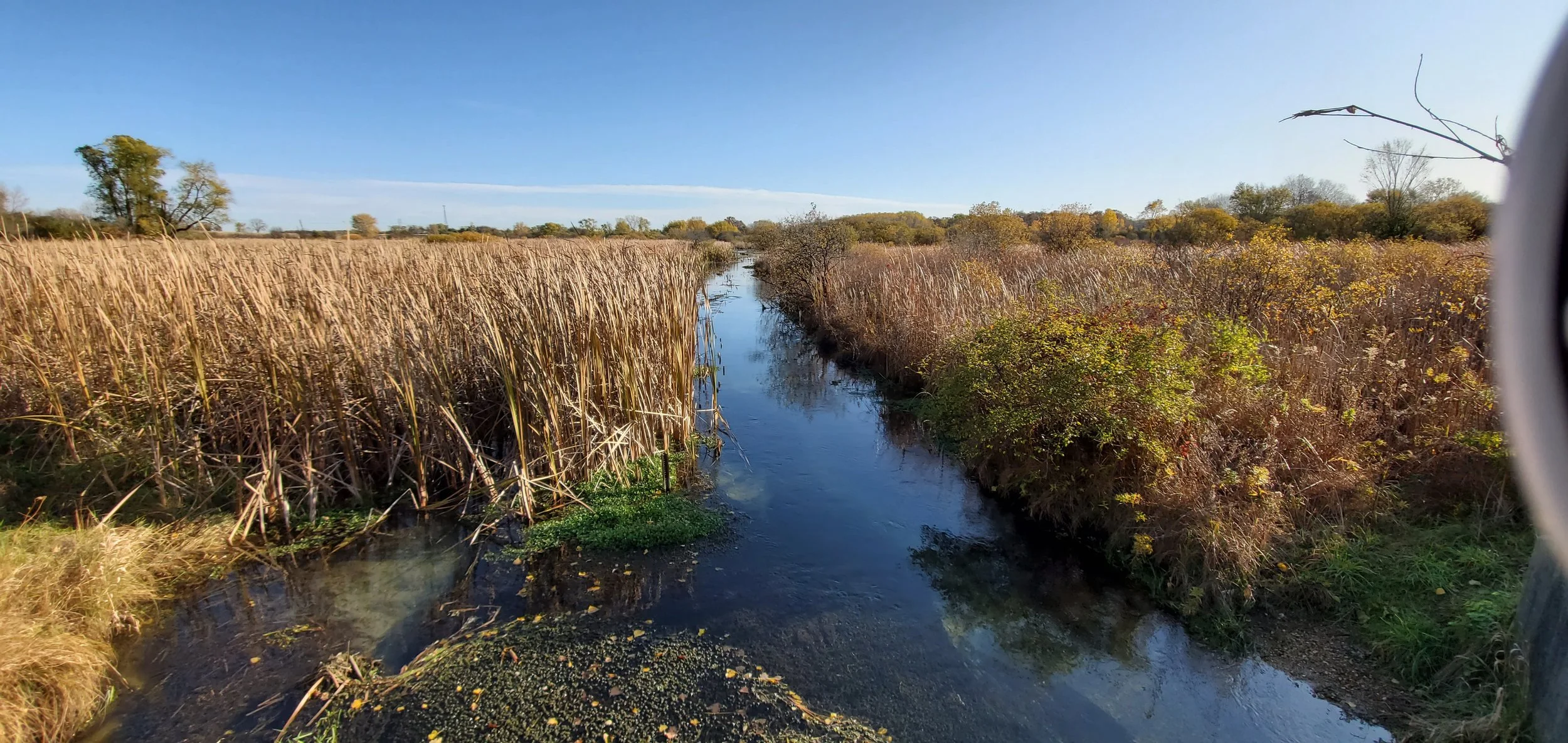 Bluff Creek Fishery & State Natural Area | Explore Directory ...