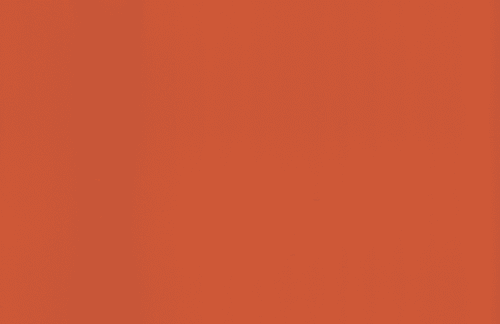 Tapori Menu - Indian Street Food, Dosas & Craft Cocktails in DC — Tapori