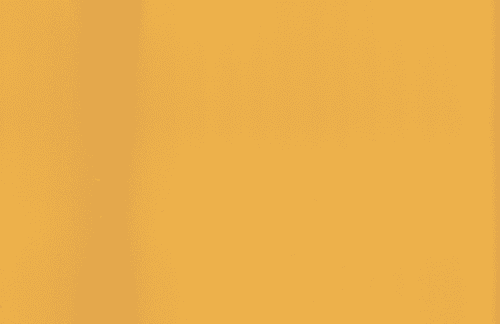 Tapori | Discover Authentic Street Flavors