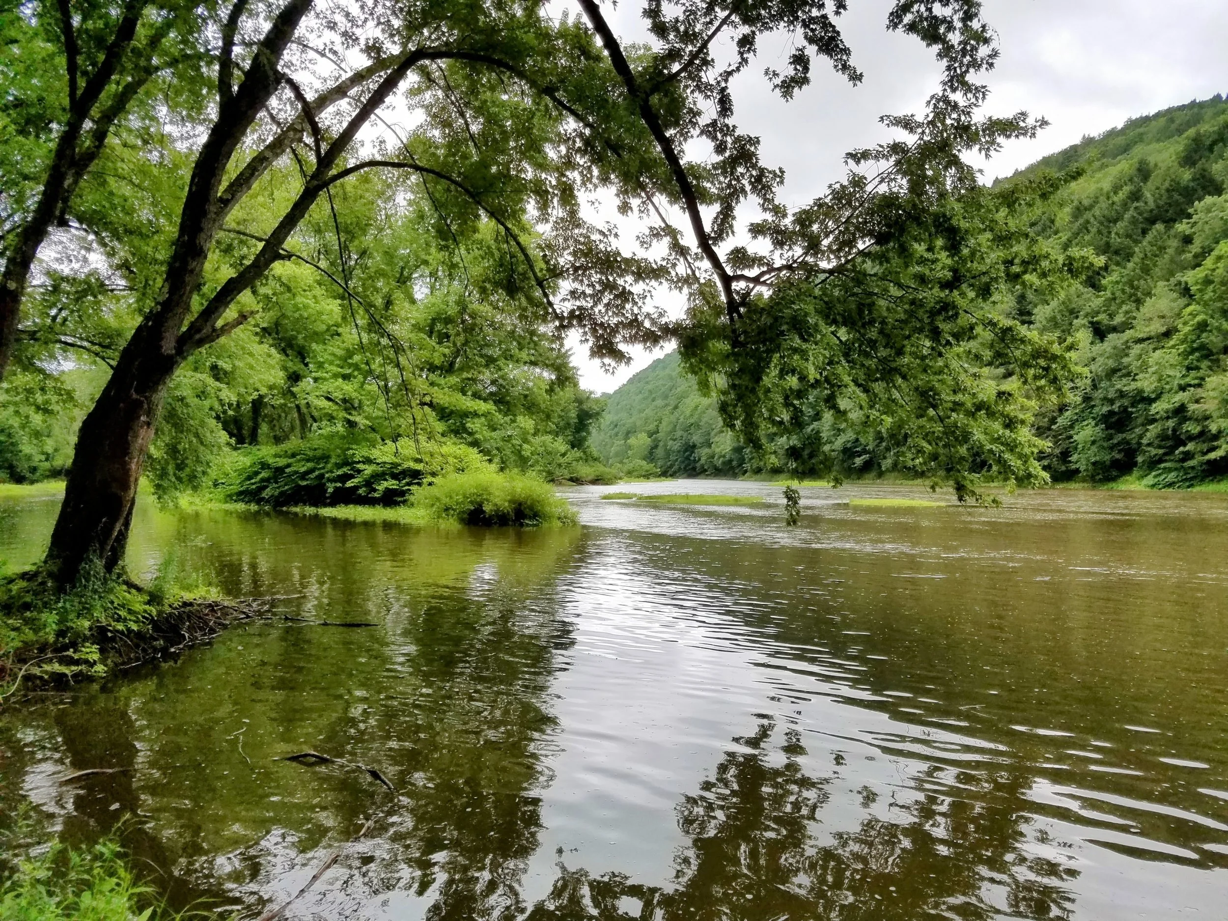 Church History Tour — Restoration Tour Group