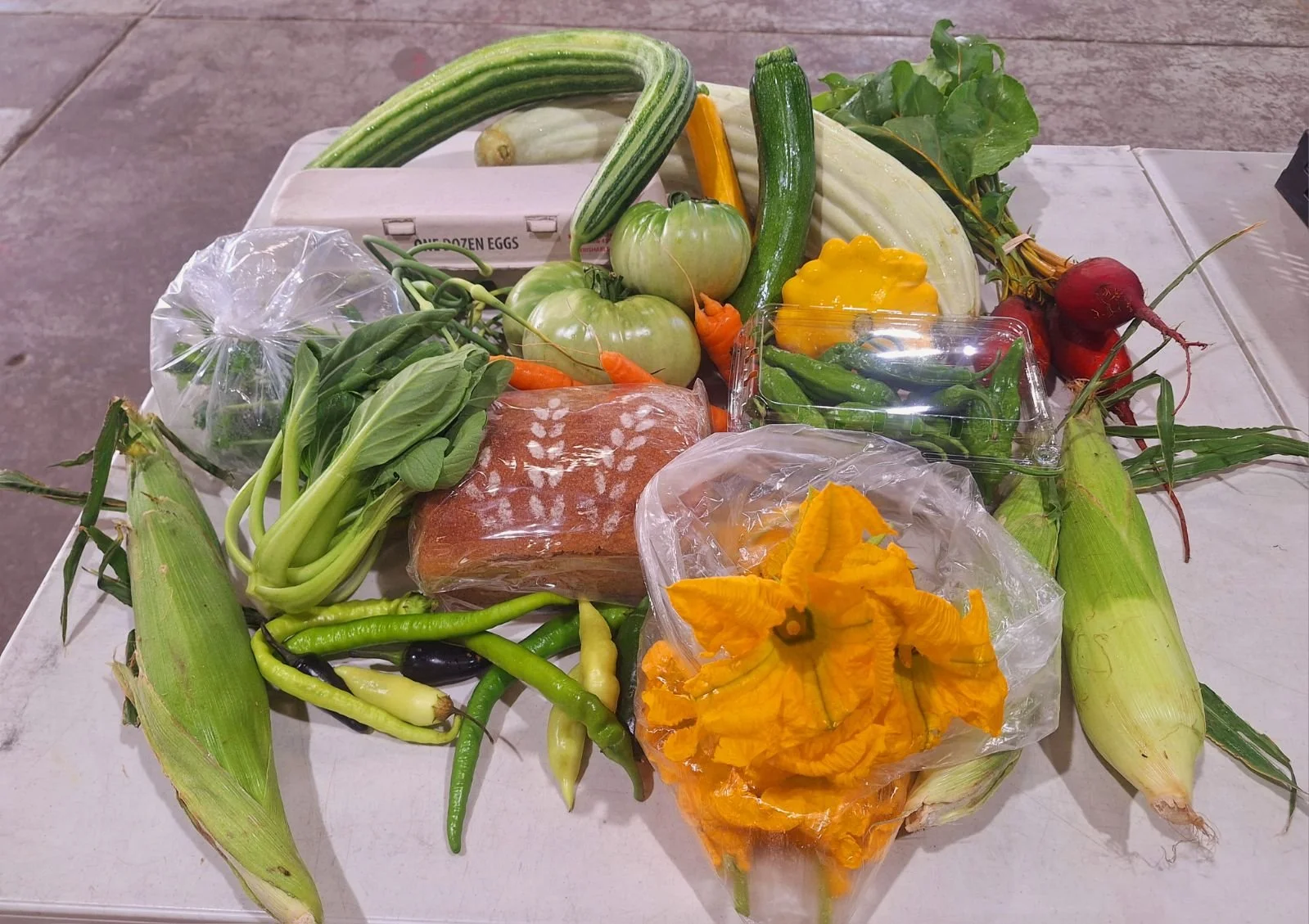 Four Corners Food Coalition