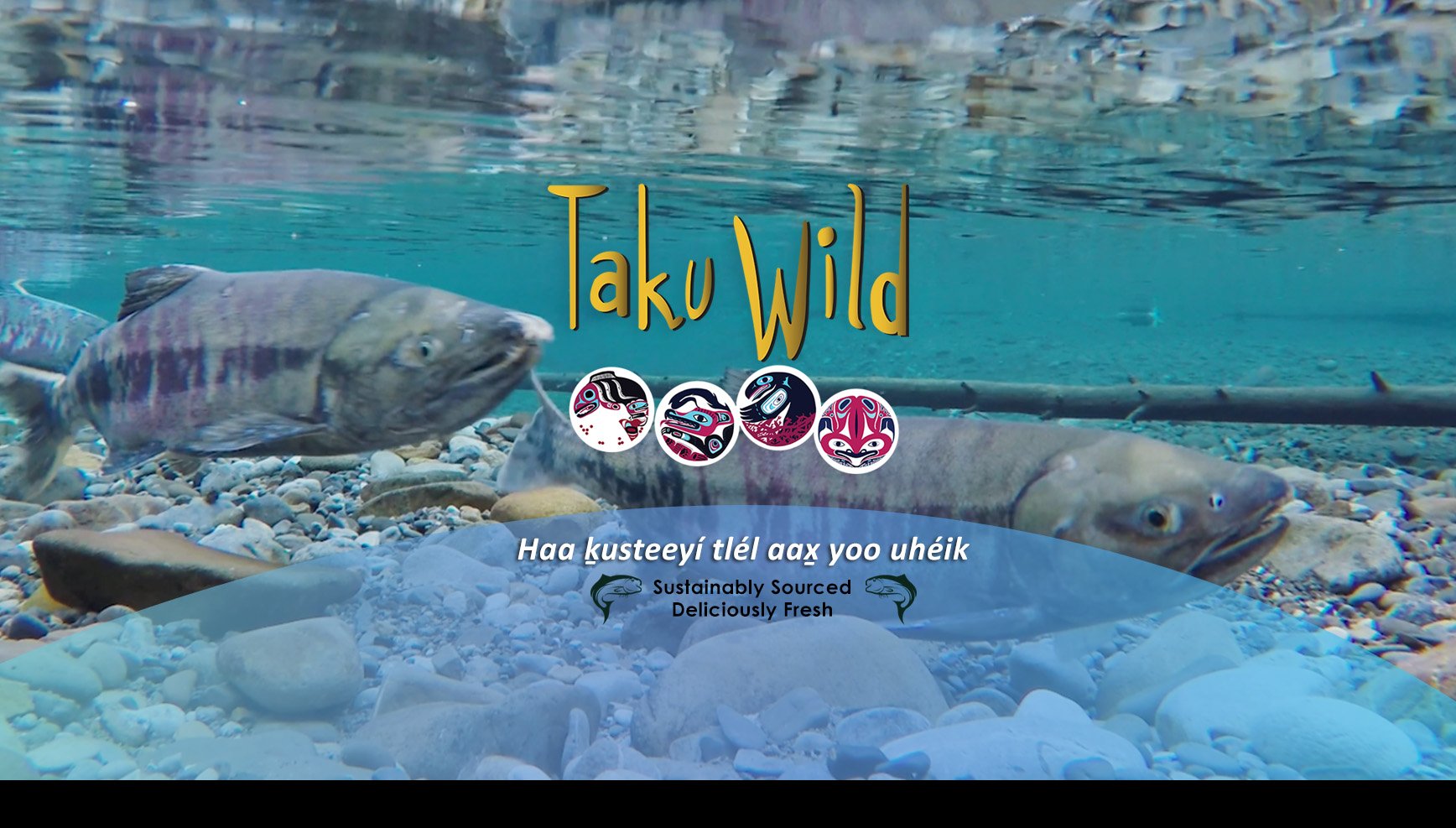 Taku Wild