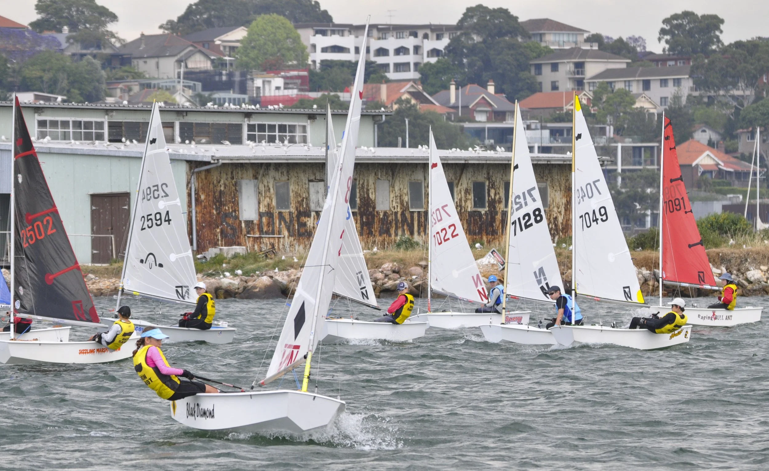 Current Season Results — DSC - SAILING