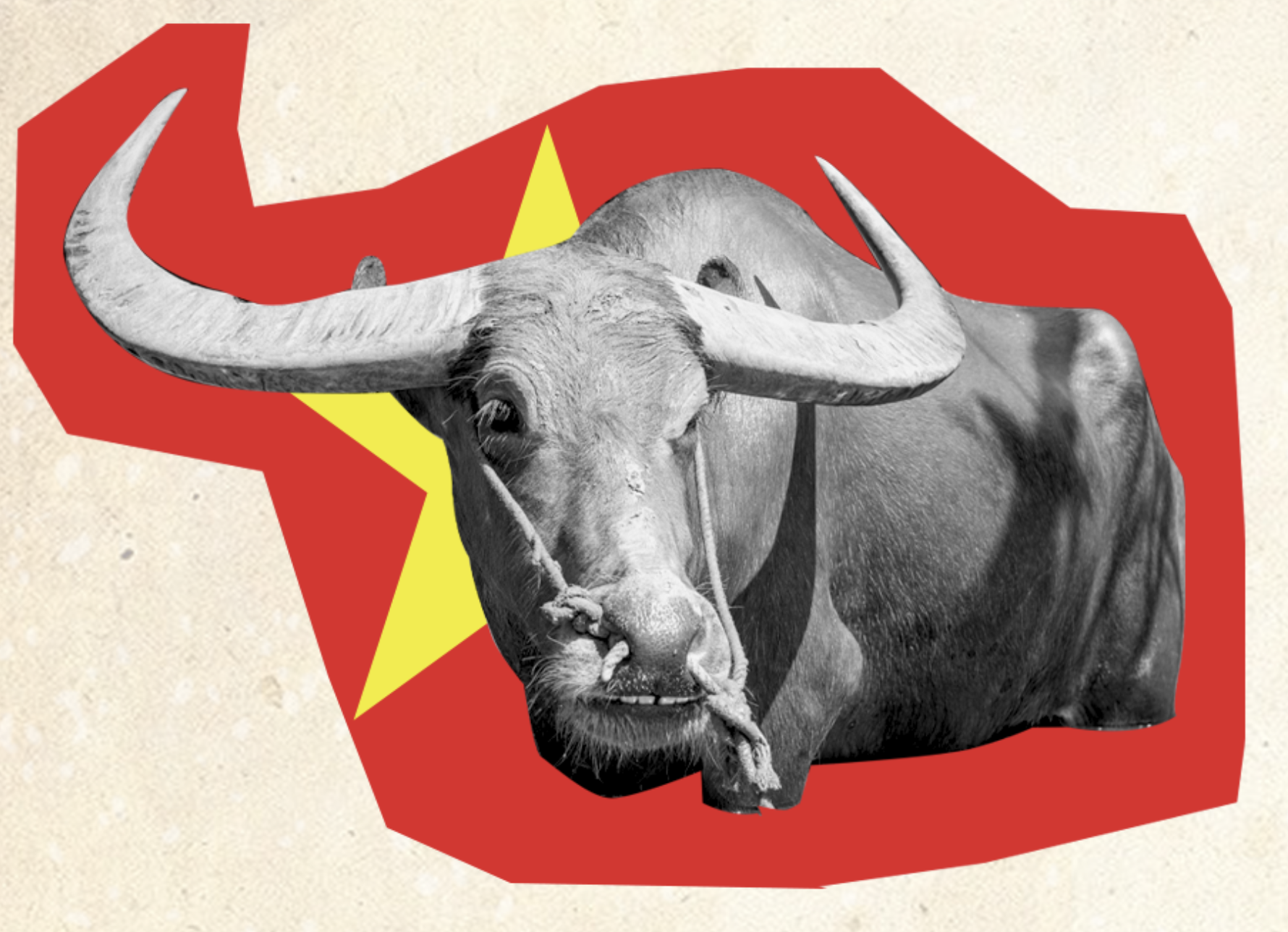 Tráº Trã U Decoding Vietnam S Young Buffalo Subculture And Its Global
