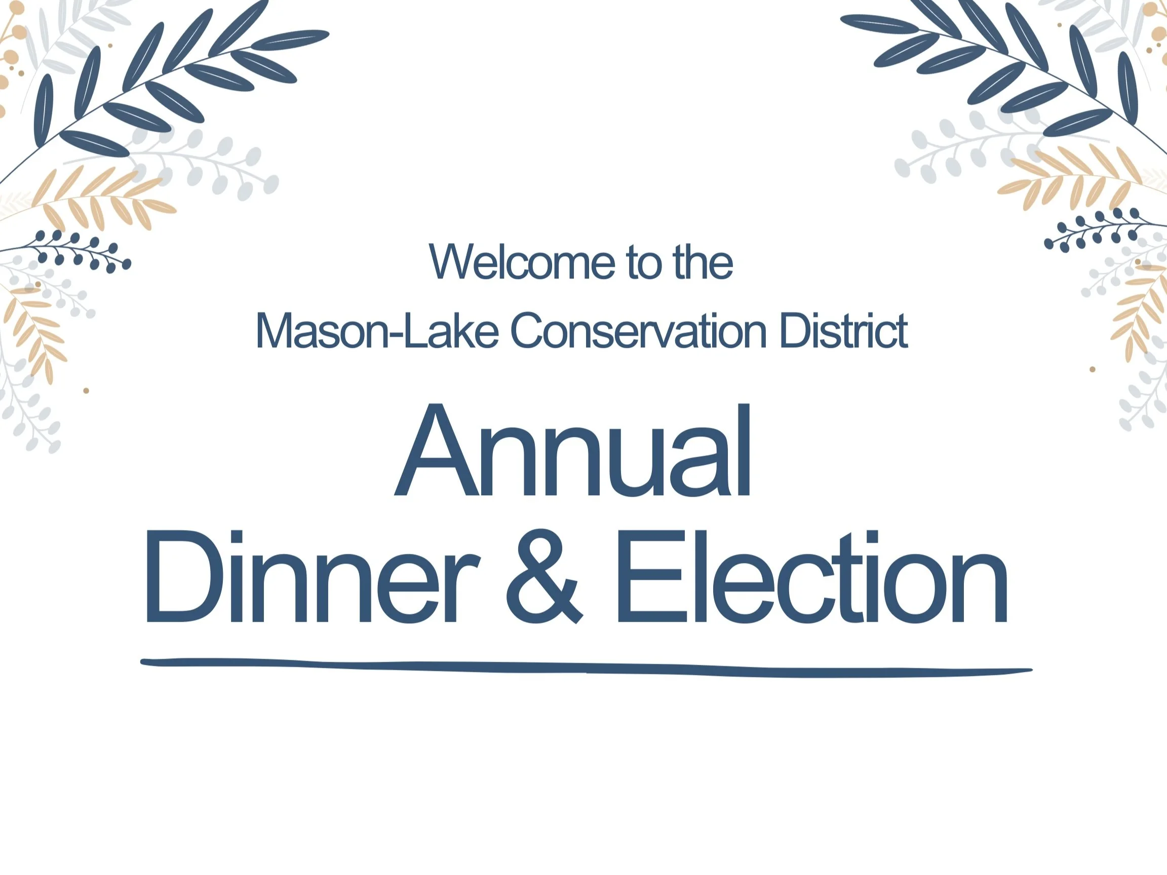 Mason Lake Conservation District