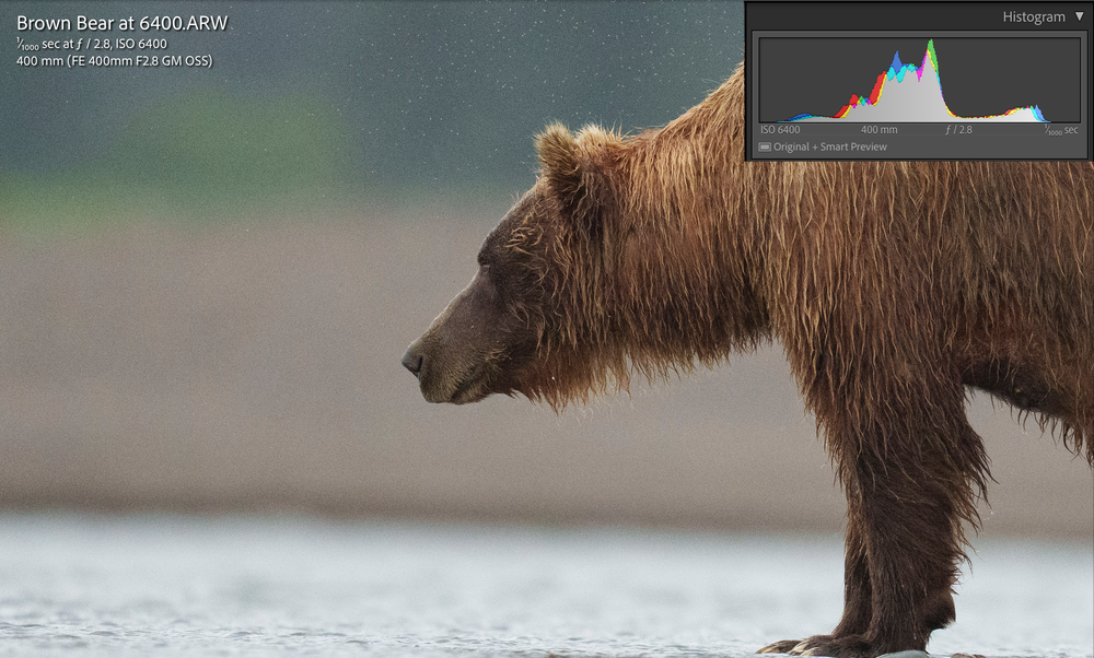 Mastering Noise in Low Light Photography — Annalise Kaylor